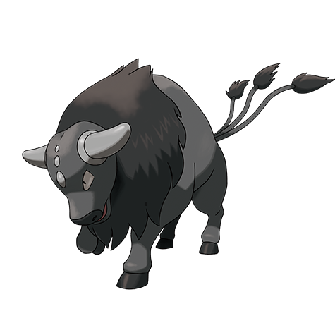 Pokemon Paldean Combat Breed Tauros – Pixelmon Reforged Wiki